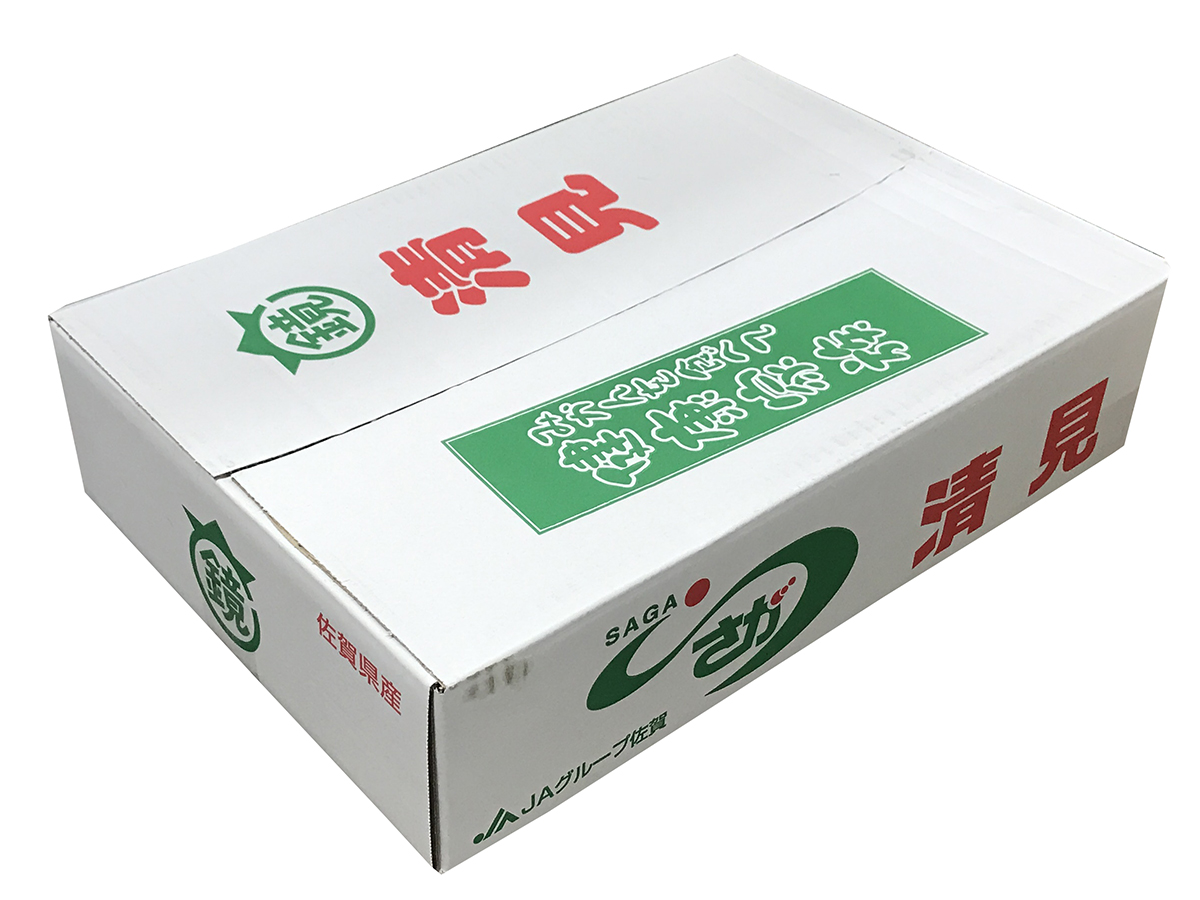 佐賀県産 清見 | 業務仕入・見積なら食品卸売の生鮮卸売市場